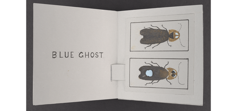 2022 Book Arts Students - University of Southern Maine